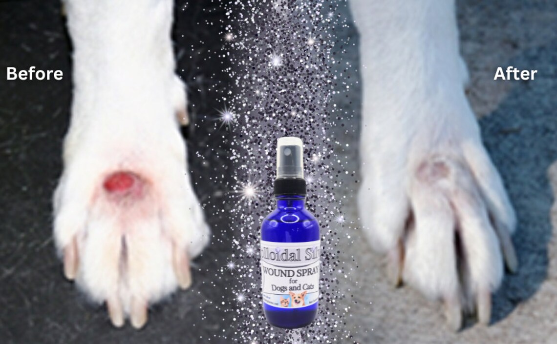 Colloidal Silver Spray for Dogs & Cats - 10 PPM, 4 Oz Glass Bottle ...
