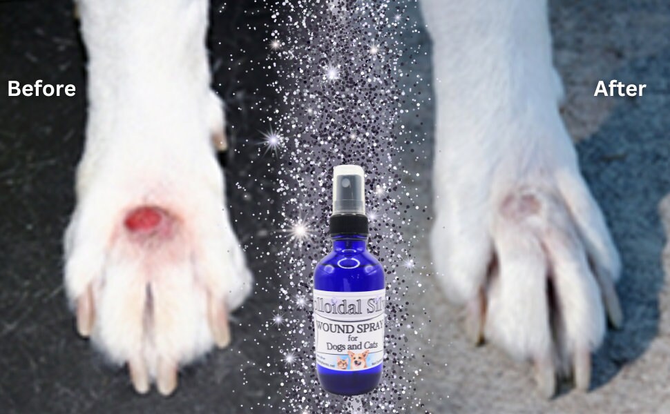 Colloidal Silver Spray for Dogs & Cats - 10 PPM, 4 Oz Glass Bottle ...