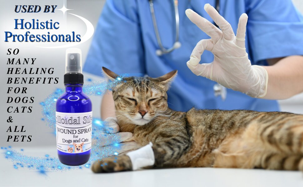 Colloidal Silver Spray for Dogs & Cats - 10 PPM, 4 Oz Glass Bottle ...