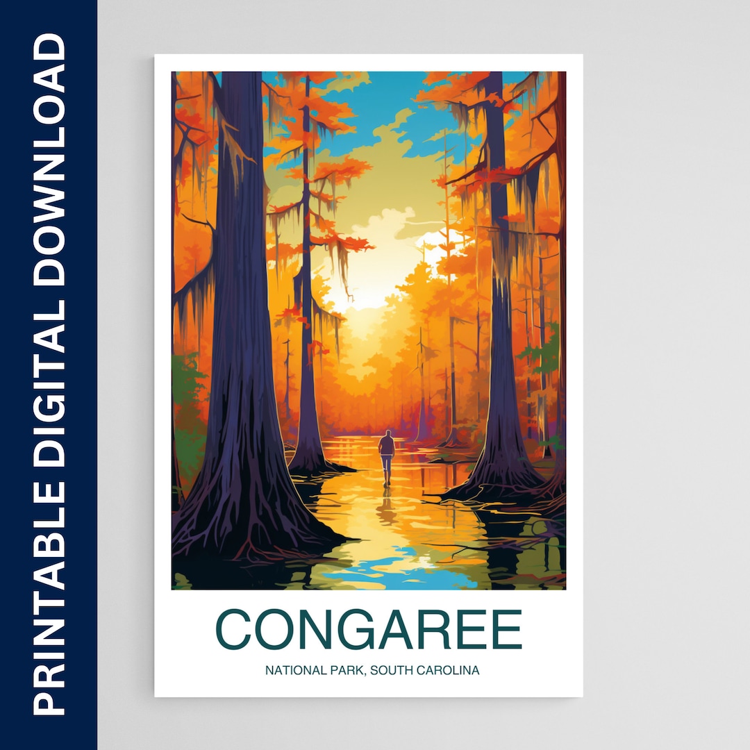 Congaree National Park Poster, National Park Print, Vintage Poster ...
