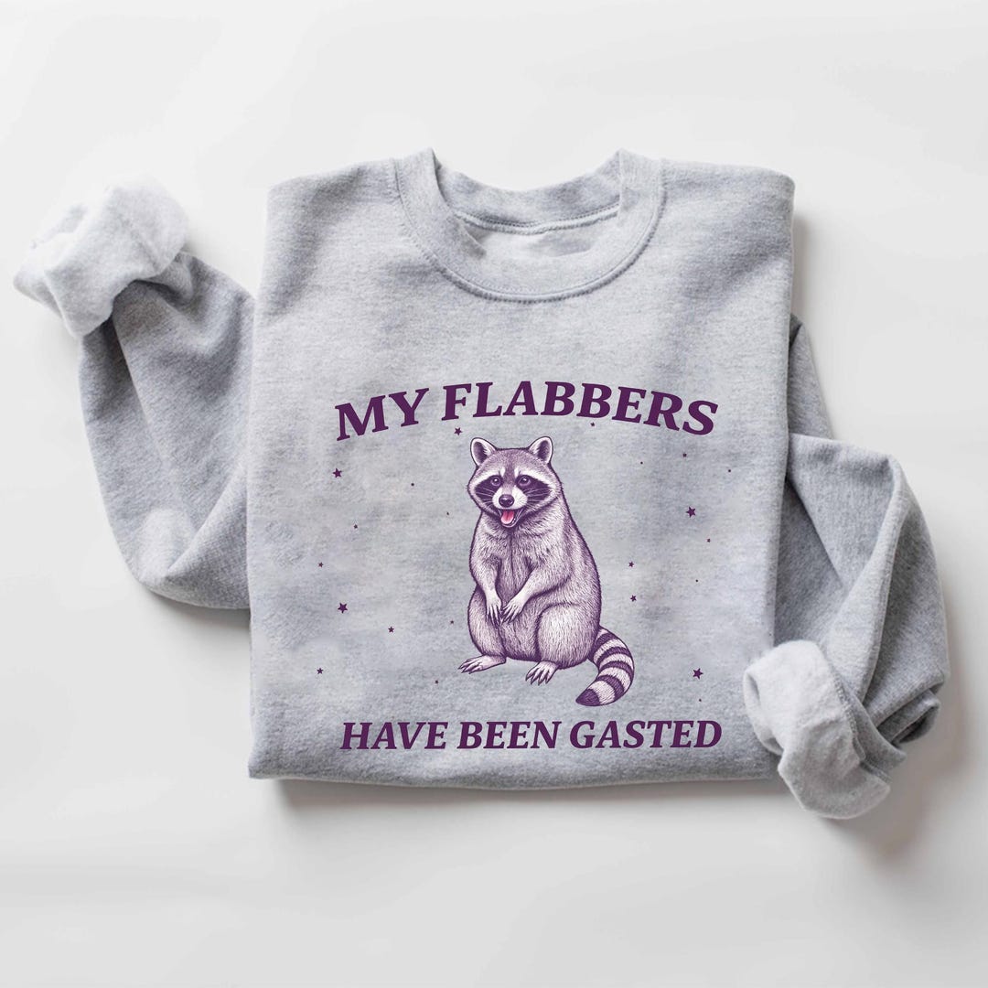 My Flabbers Have Been Gasted SVG PNG, Funny Raccoon Meme, Funny Trash ...