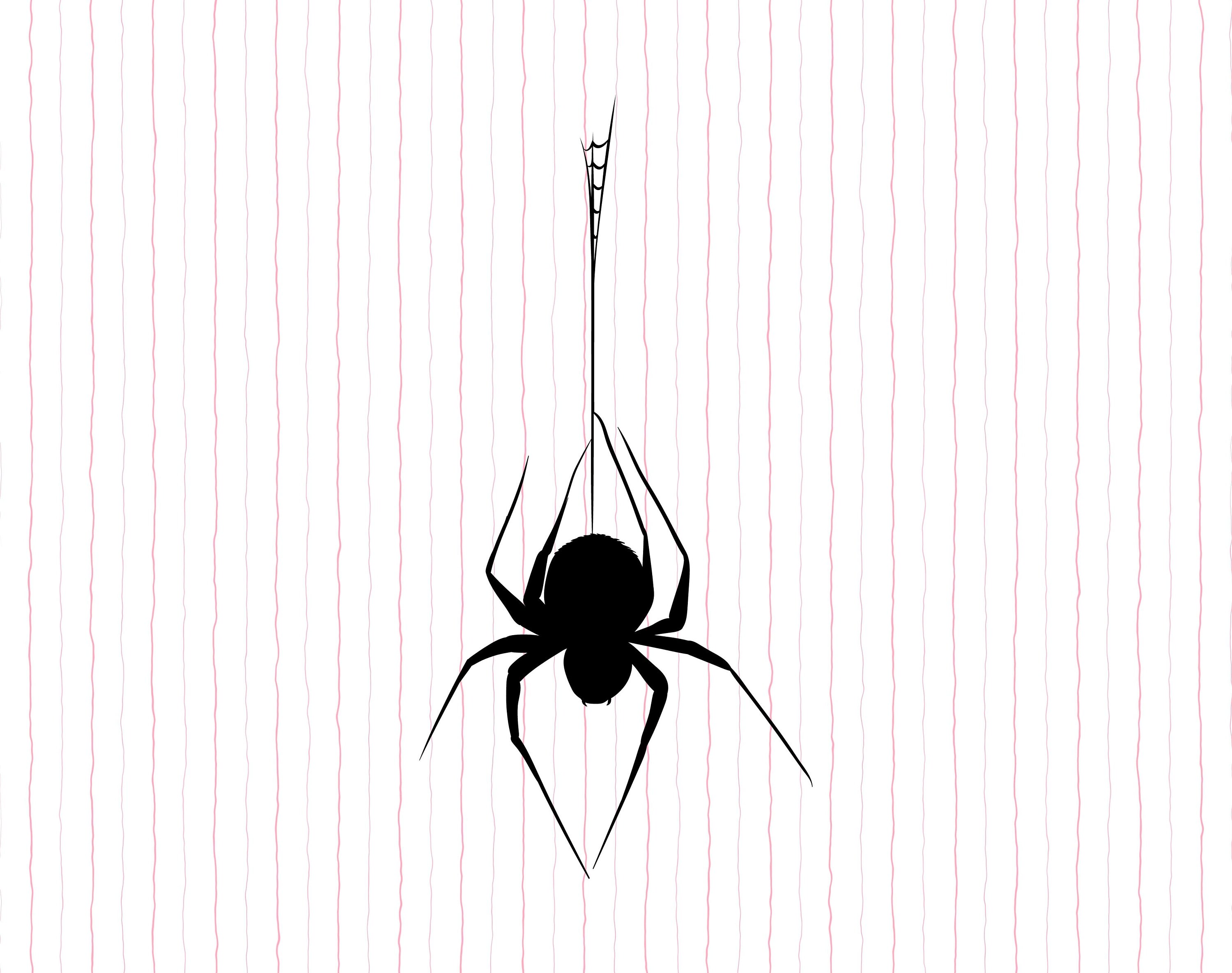 Halloween Spider Svg Dxf Eps Jpg Png 21 Bundle Instant - Etsy