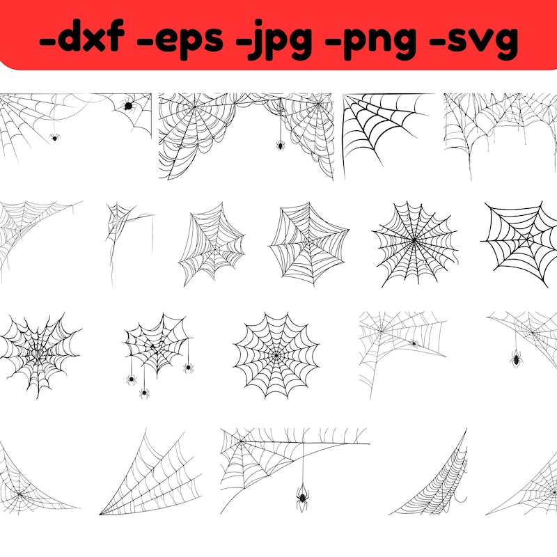 Spider Web Svg - Etsy