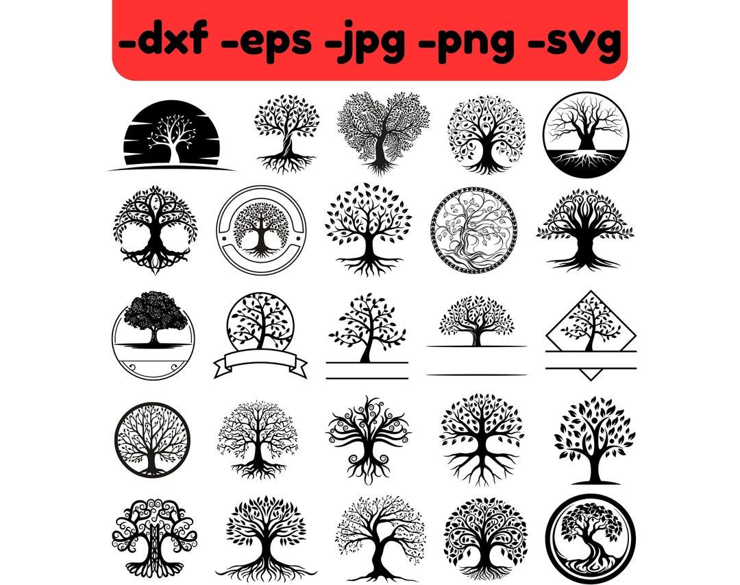 Family Tree 25 Svg Bundle, Tree Roots Svg, Tree With Roots Svg, Our ...