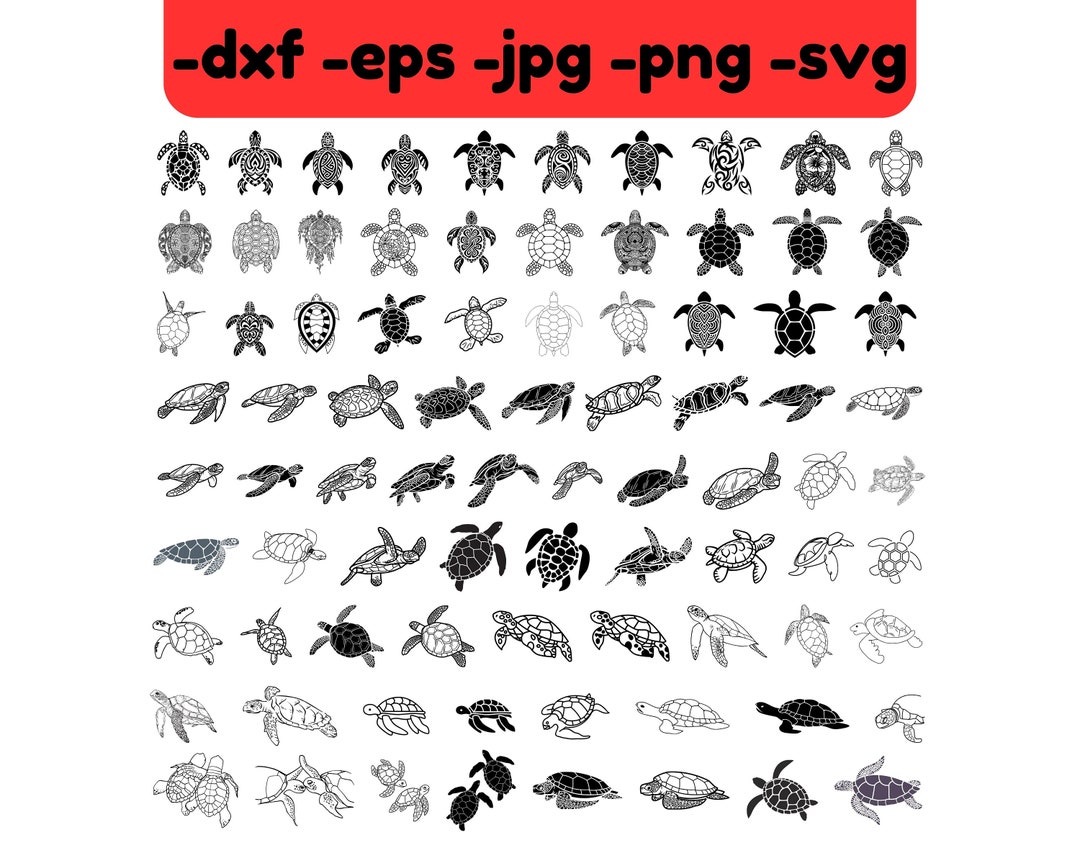 Sea Turtle SVG Bundle: 83 Turtle Clipart Designs (digital Download) - Etsy