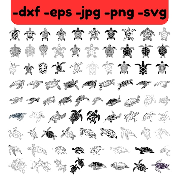Turtle Svg - Etsy