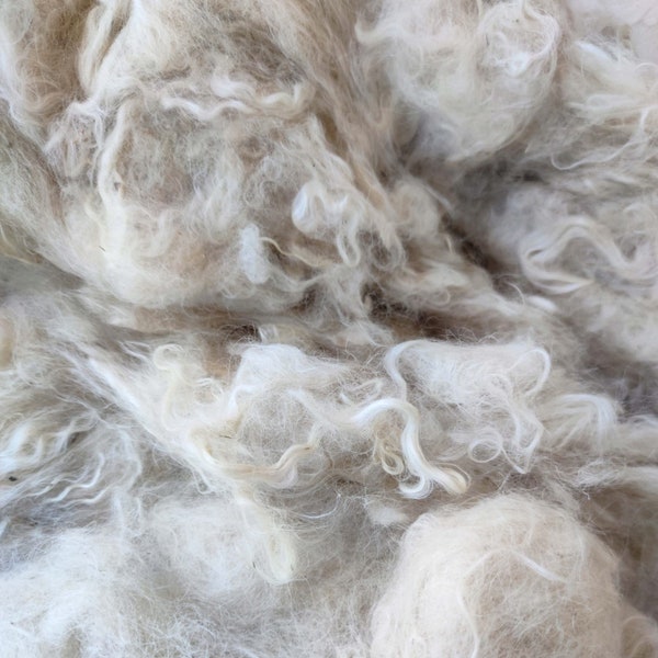 Angora Goat - Etsy