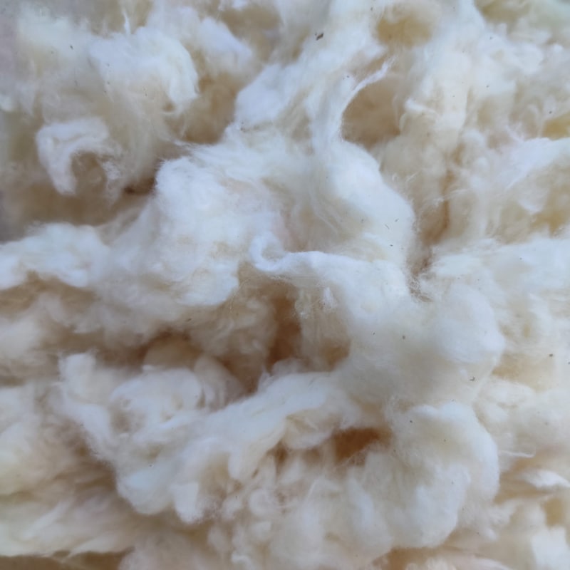 Cotton Stuffing - Etsy