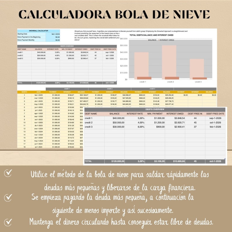 Calculadora Bola De Nieve Español, Seguimiento De Deuda,pago Deuda ...