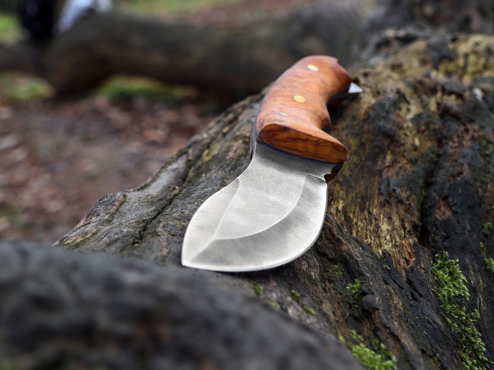 Handmade Bushcraft Knife 440C Stainless Steel Comes With Leather Sheath ...