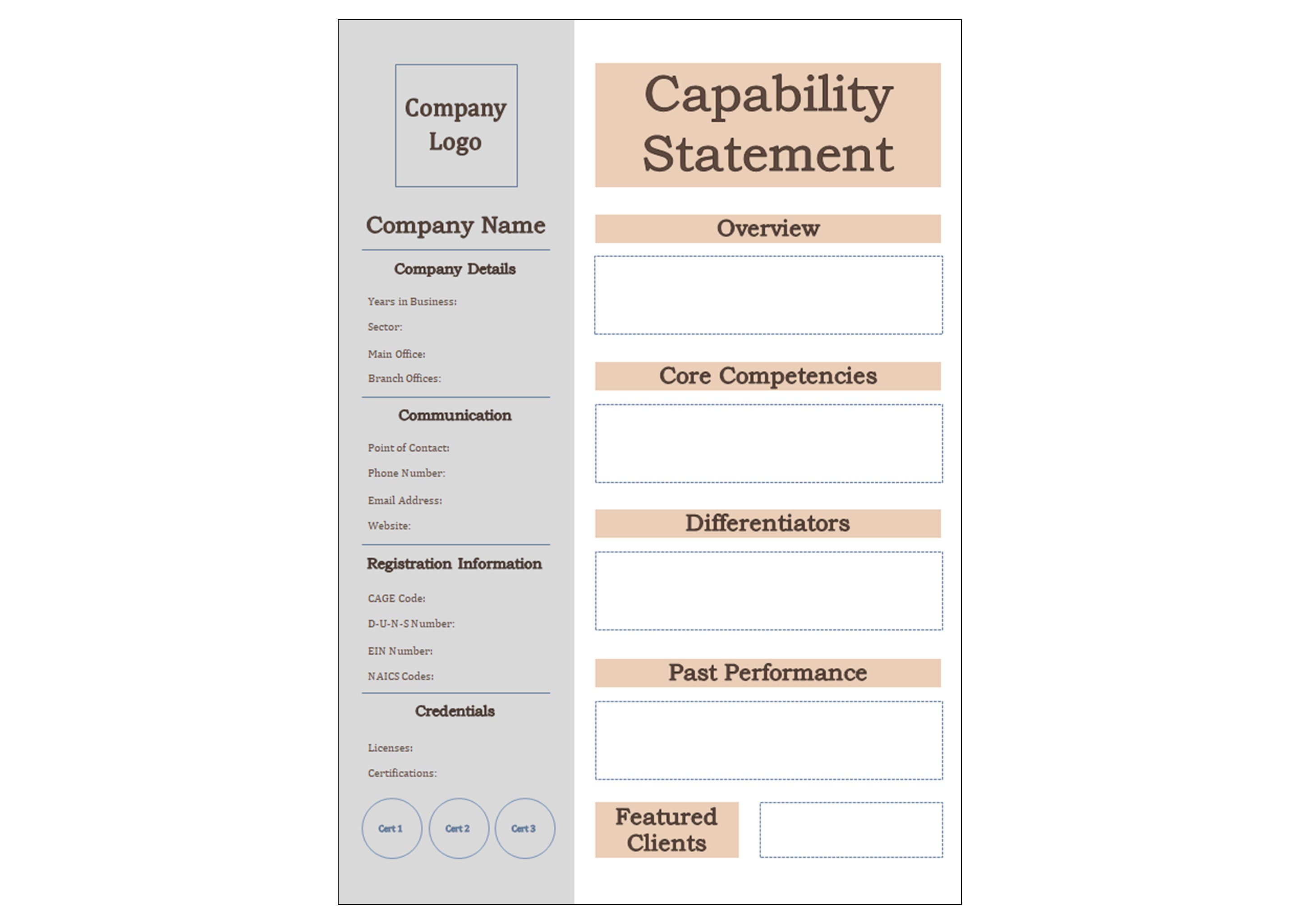 Capability Statement Template | Company Vision Statement | Government ...