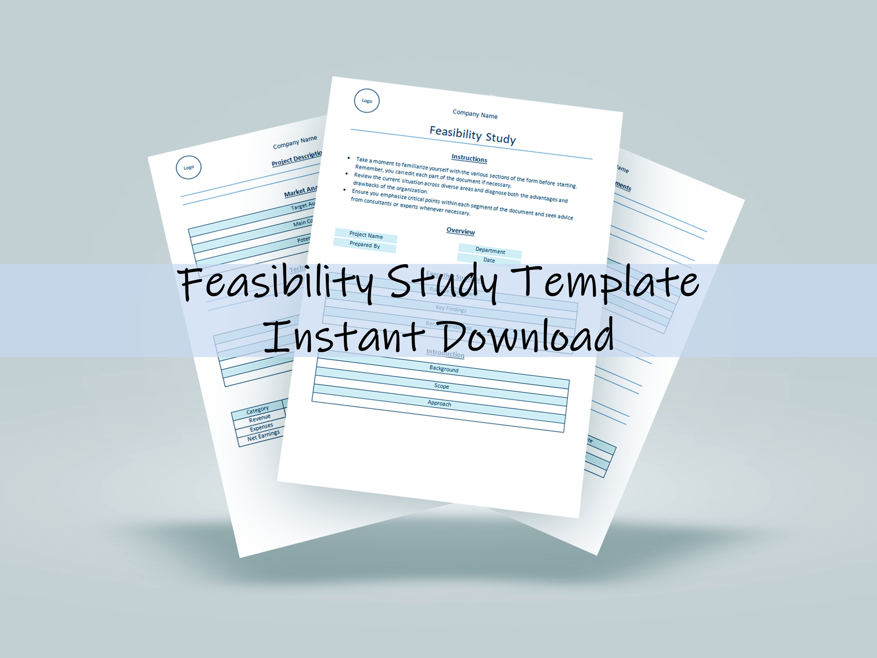 Feasibility Study | Project Executive Summary Report | Project Proposal ...