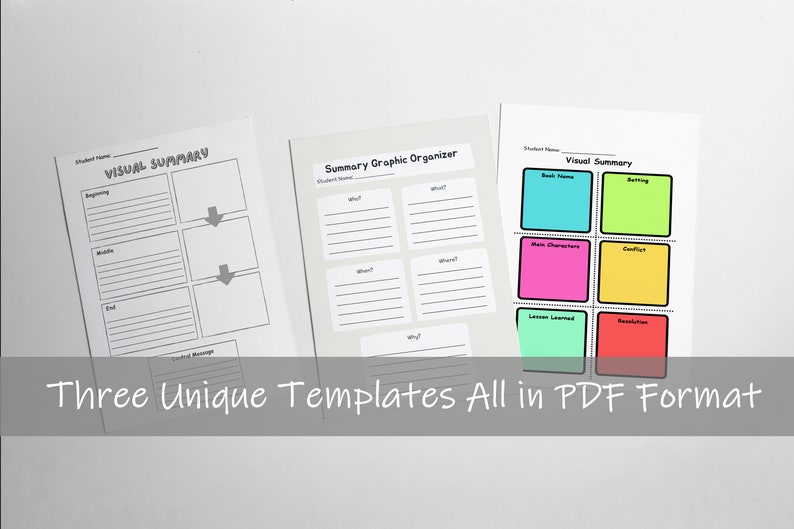 Visual Summary Template | Graphic Organizer | Instant Download | PDF ...
