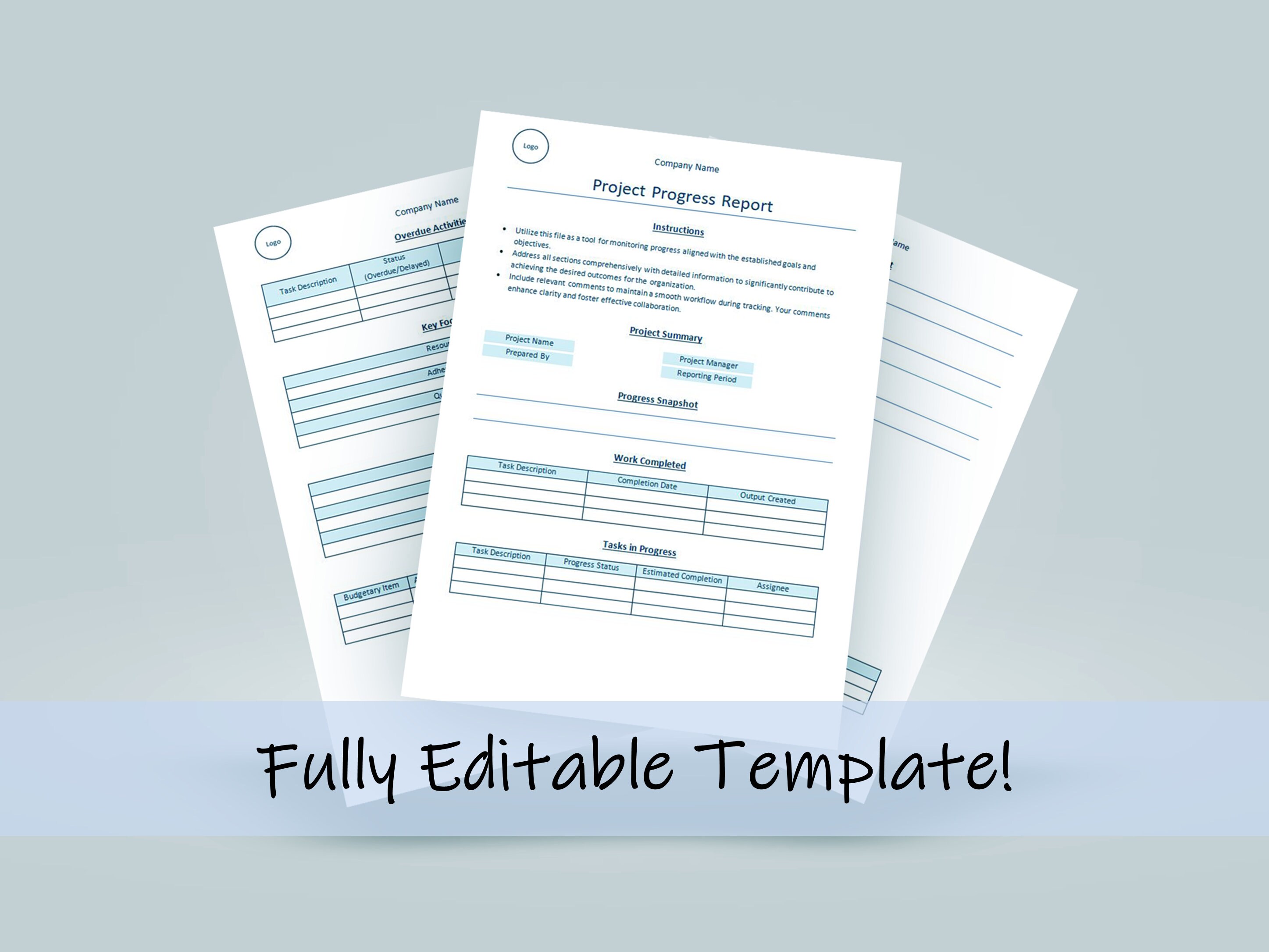 Project Progress Report Progress Report Template Progress Monitoring ...