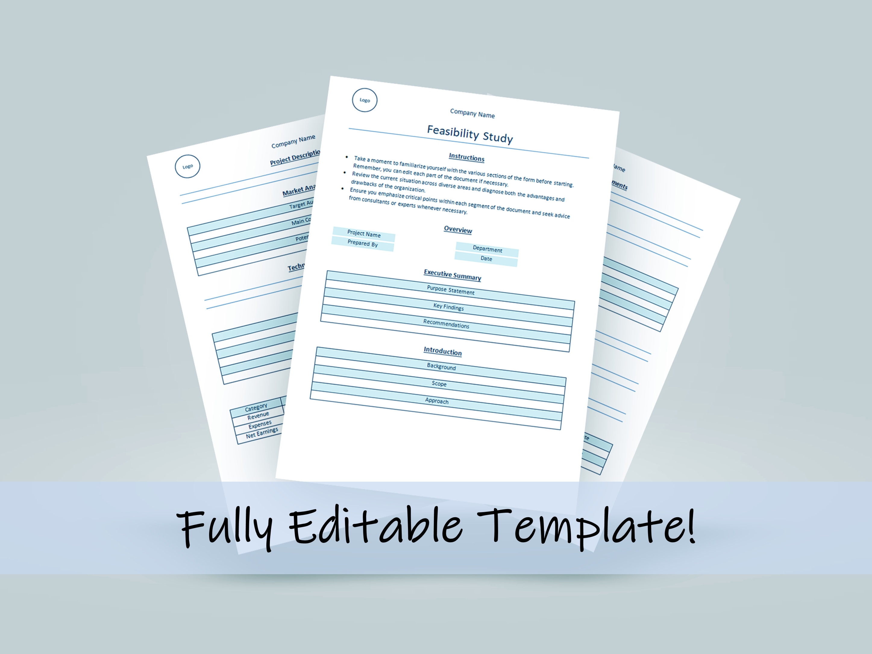Feasibility Study | Project Executive Summary Report | Project Proposal ...