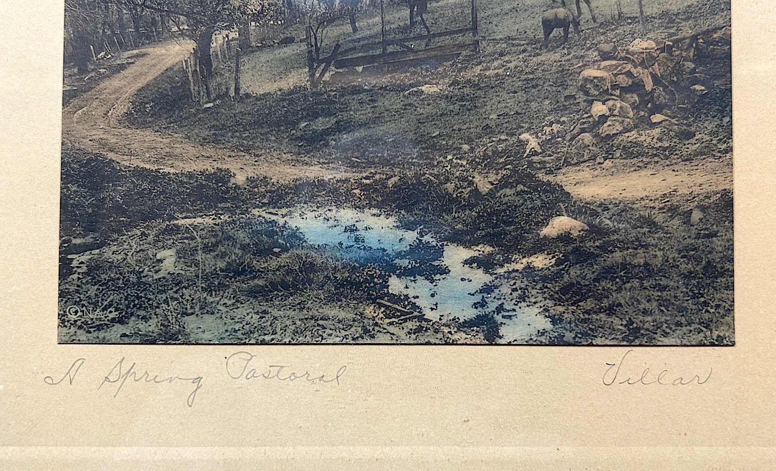 Beautiful Vintage Hand Colored Photo a Spring Pastoral by Villar ...