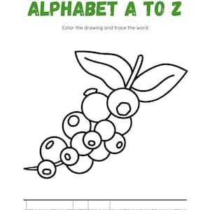A-Z Alphabet Coloring and Tracing Book for Kids, ABC Fun: Color & Trace ...