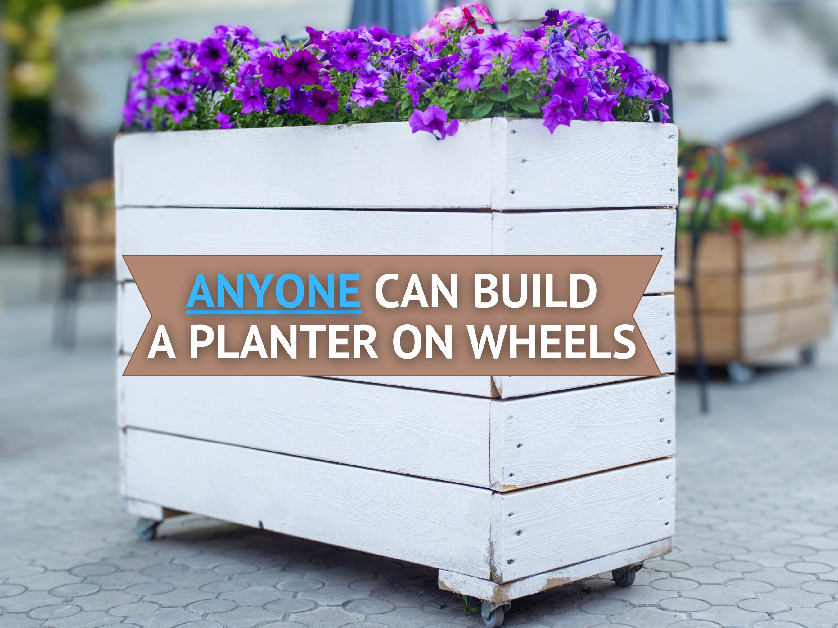 Planter on Wheels DIY Build Plan, A Raised Flower Bed to Make Yourself ...