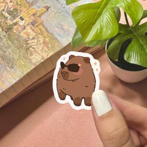 Cute Capybara Sticker Set | Cute Capybaras Sticker Pack Waterproof ...