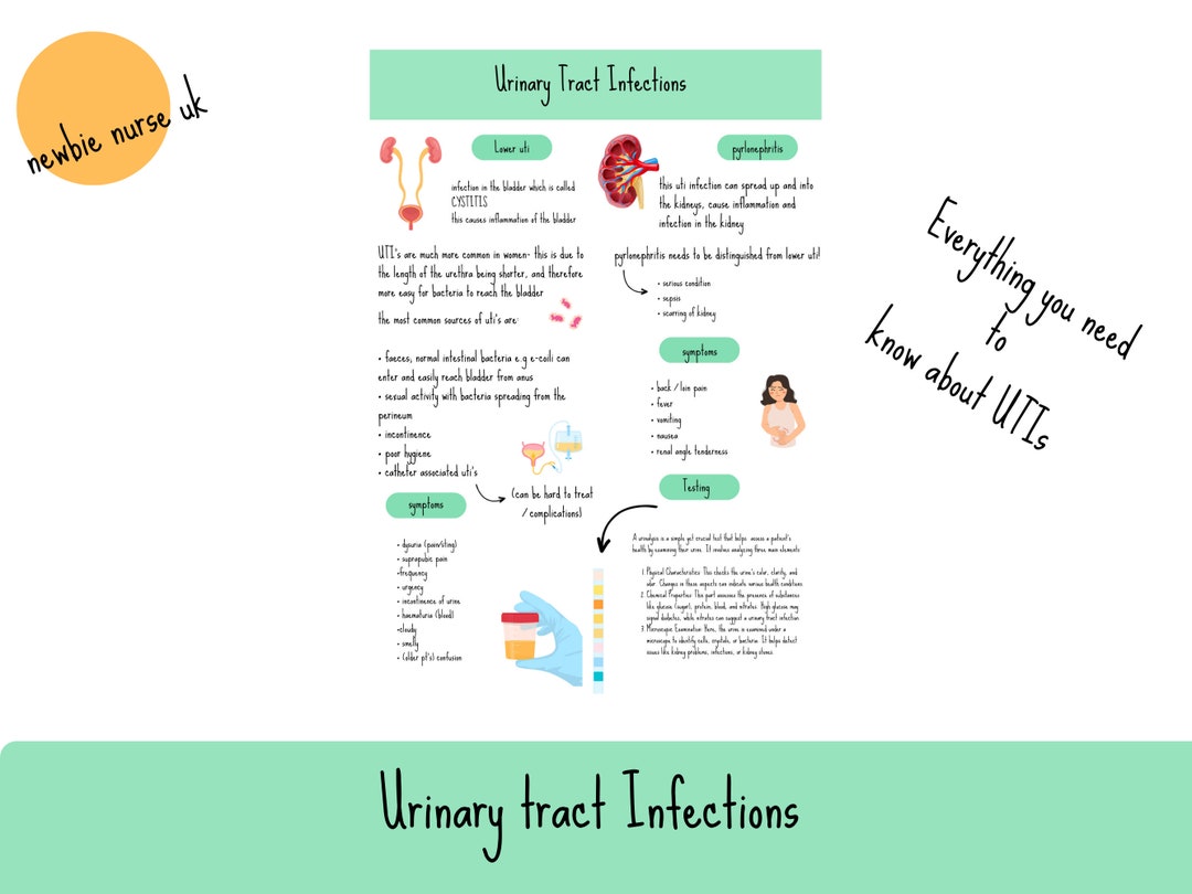 Urinary Tract Infections Explained for Nursing Students, Nursing Notes ...