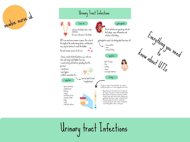 Urinary Tract Infections Explained for Nursing Students, Nursing Notes ...