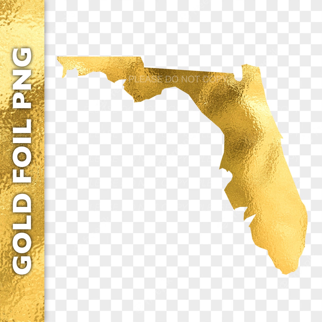 Florida Gold Foil PNG Clipart Image Florida State Logo State Outline ...