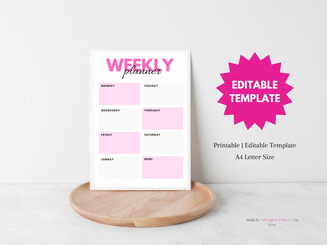Pink Digital Planner - Printable & Digital - PDF Download or Access to ...