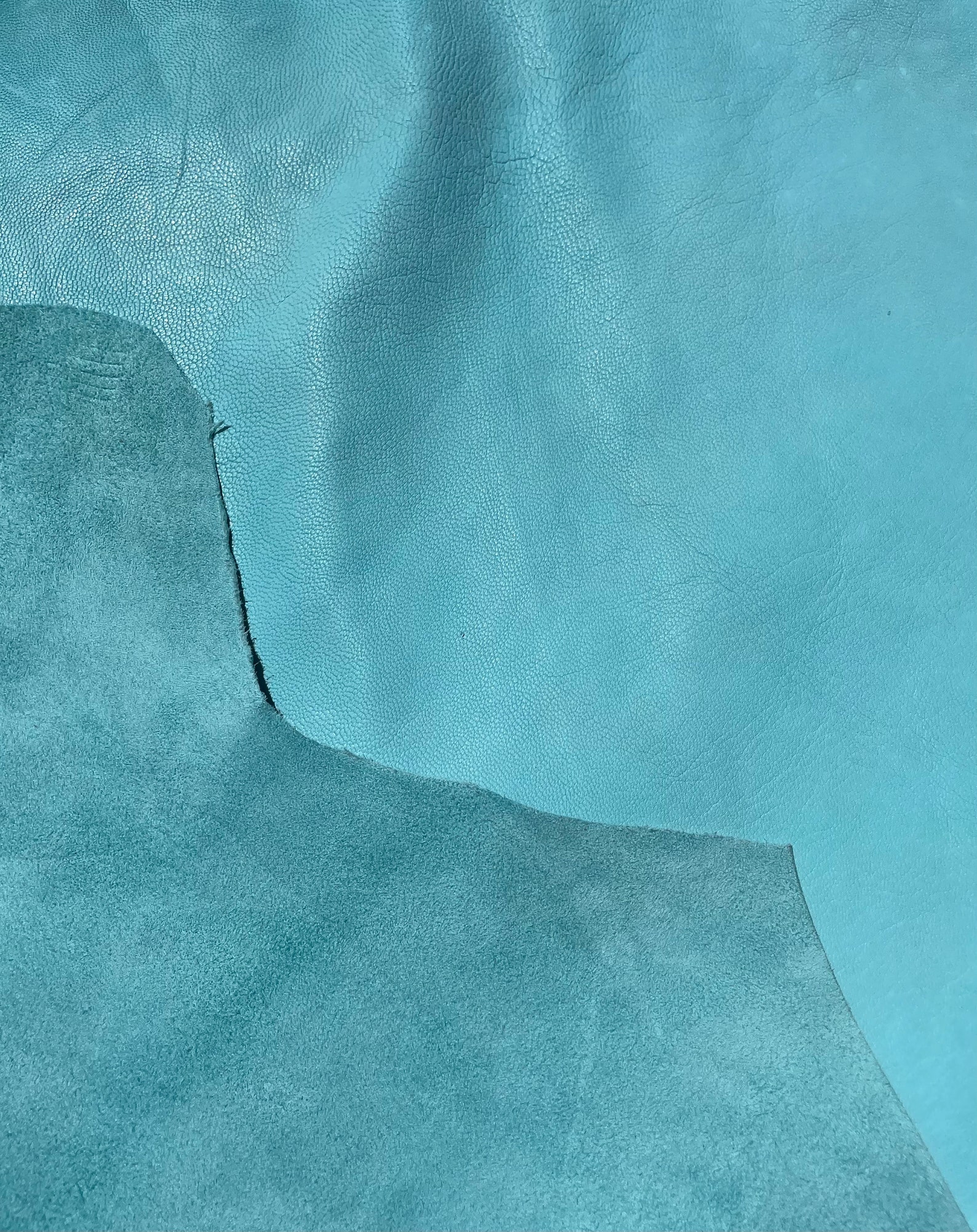 Turquoise Goat Suede Hide - Etsy
