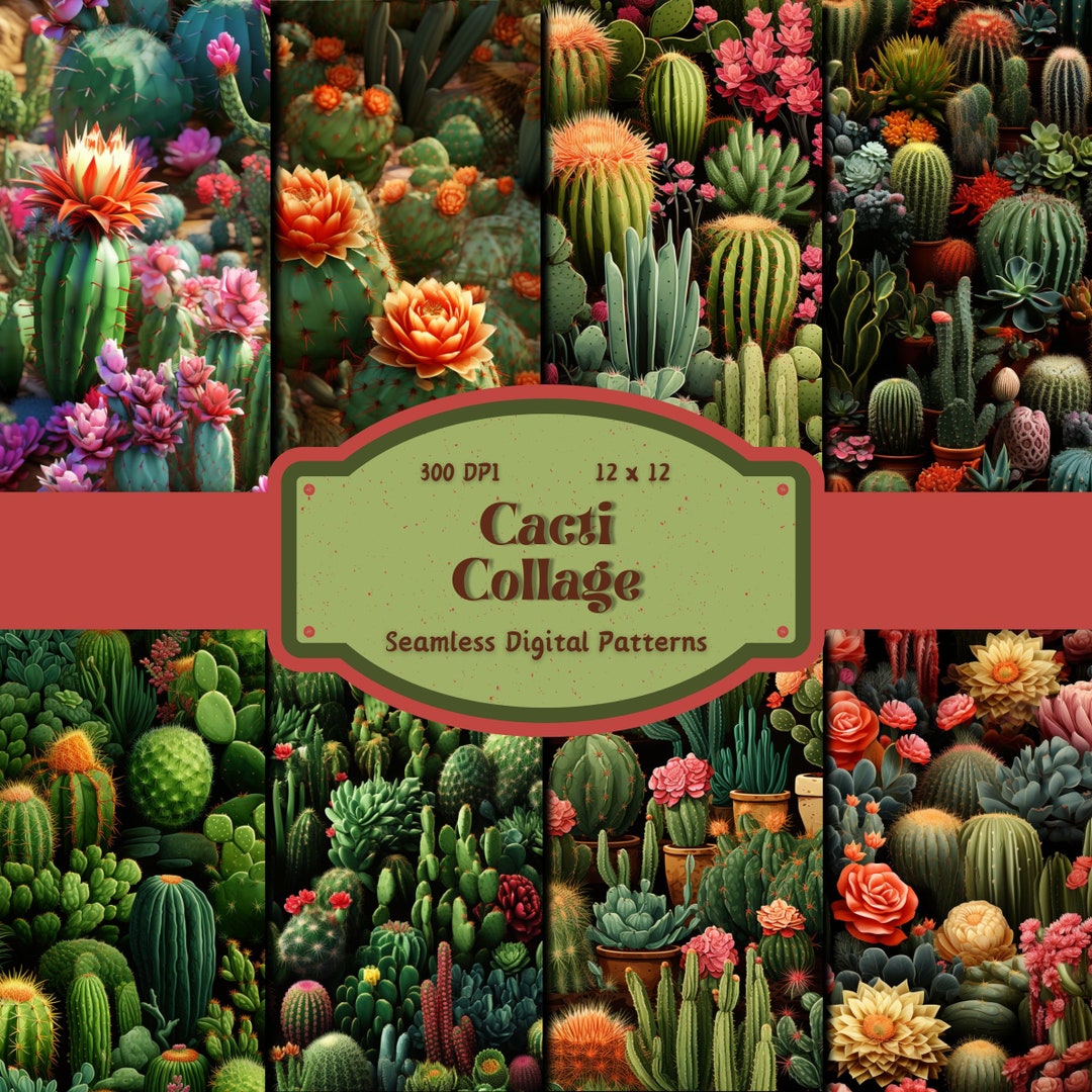 Cactus, Cacti, Succulents, Plants, Collage, Flowers, Houseplant,crafts ...