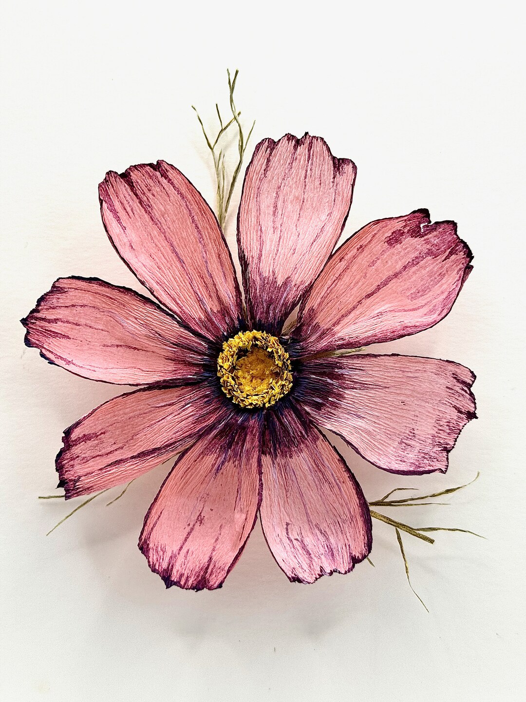 Light Pink Cosmo - Etsy