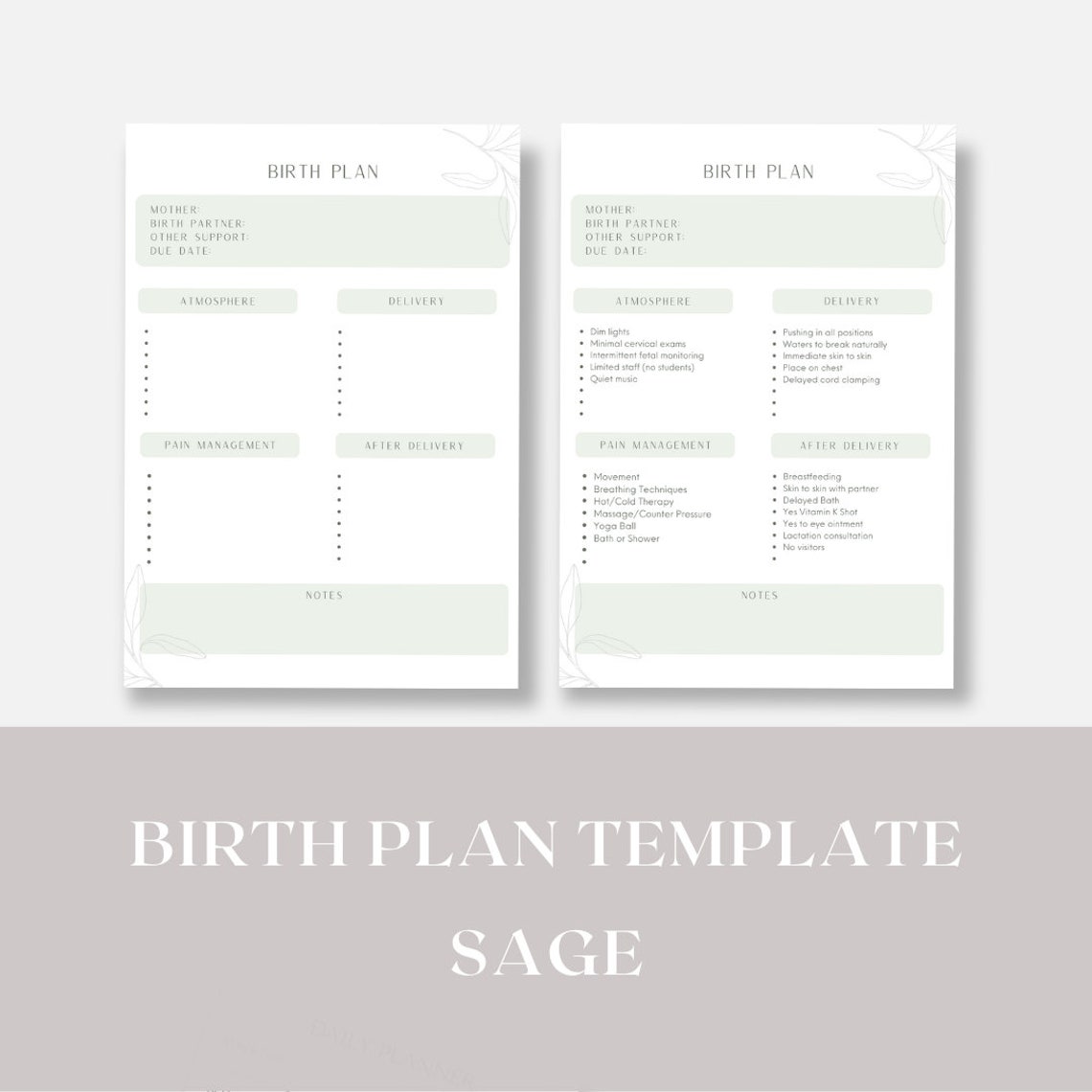 Customizable Birth Plan Template - Editable PDF & Canva Friendly - Etsy