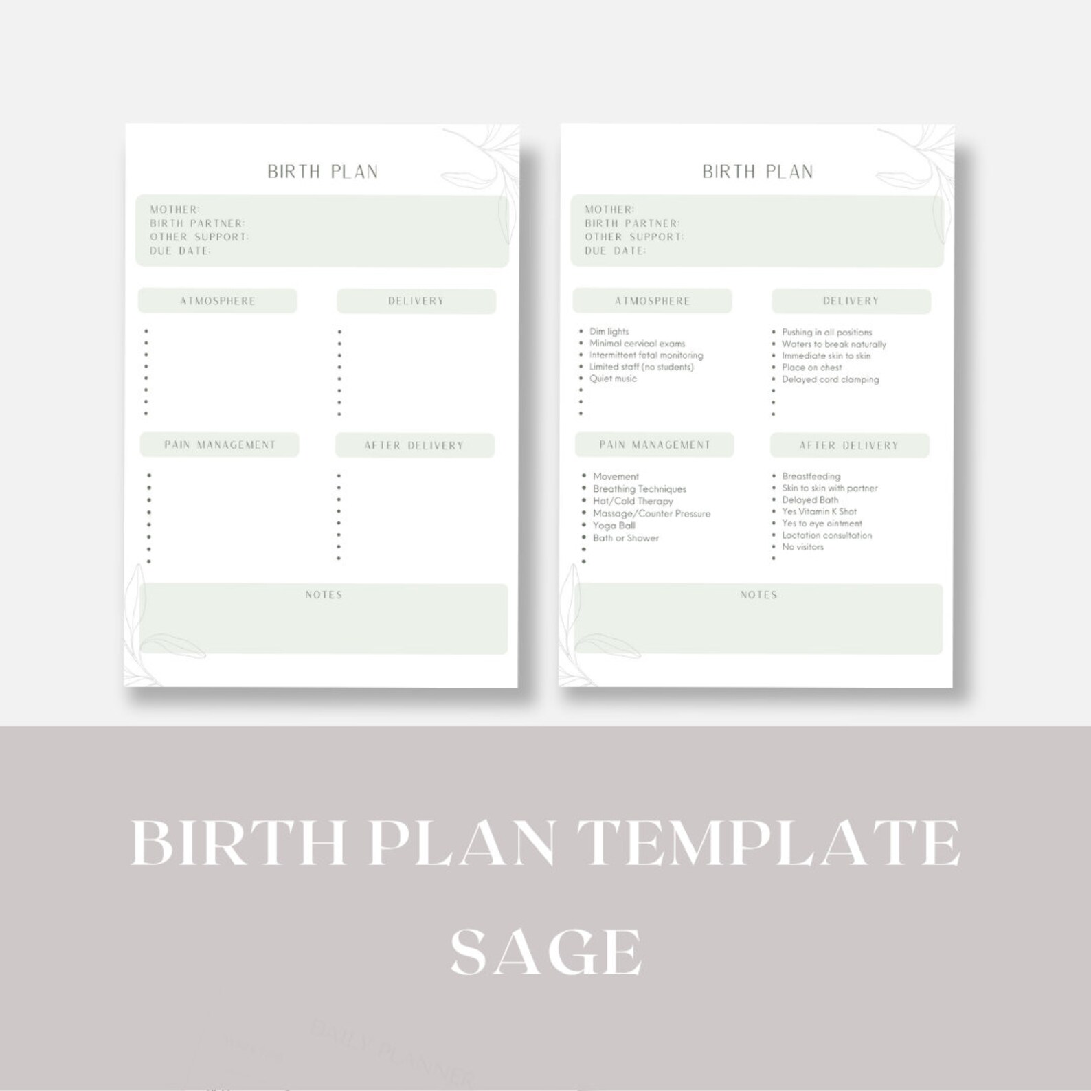 Customizable Birth Plan Template - Editable PDF & Canva Friendly - Etsy