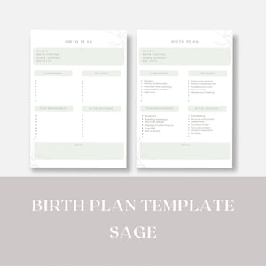 Customizable Birth Plan Template - Editable PDF & Canva Friendly - Etsy
