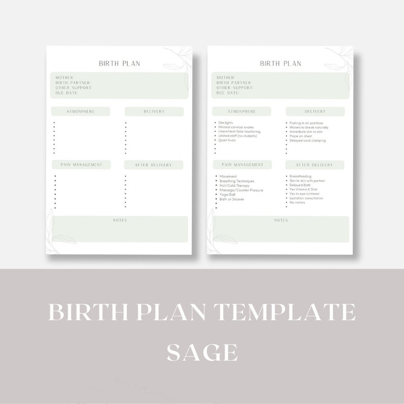 Customizable Birth Plan Template - Editable PDF & Canva Friendly - Etsy