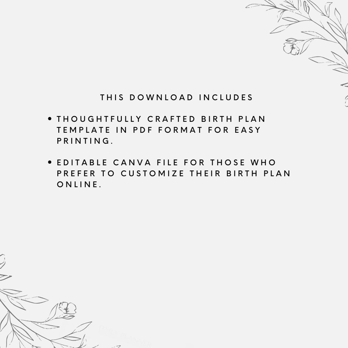 Customizable Birth Plan Template - Editable PDF & Canva Friendly - Etsy
