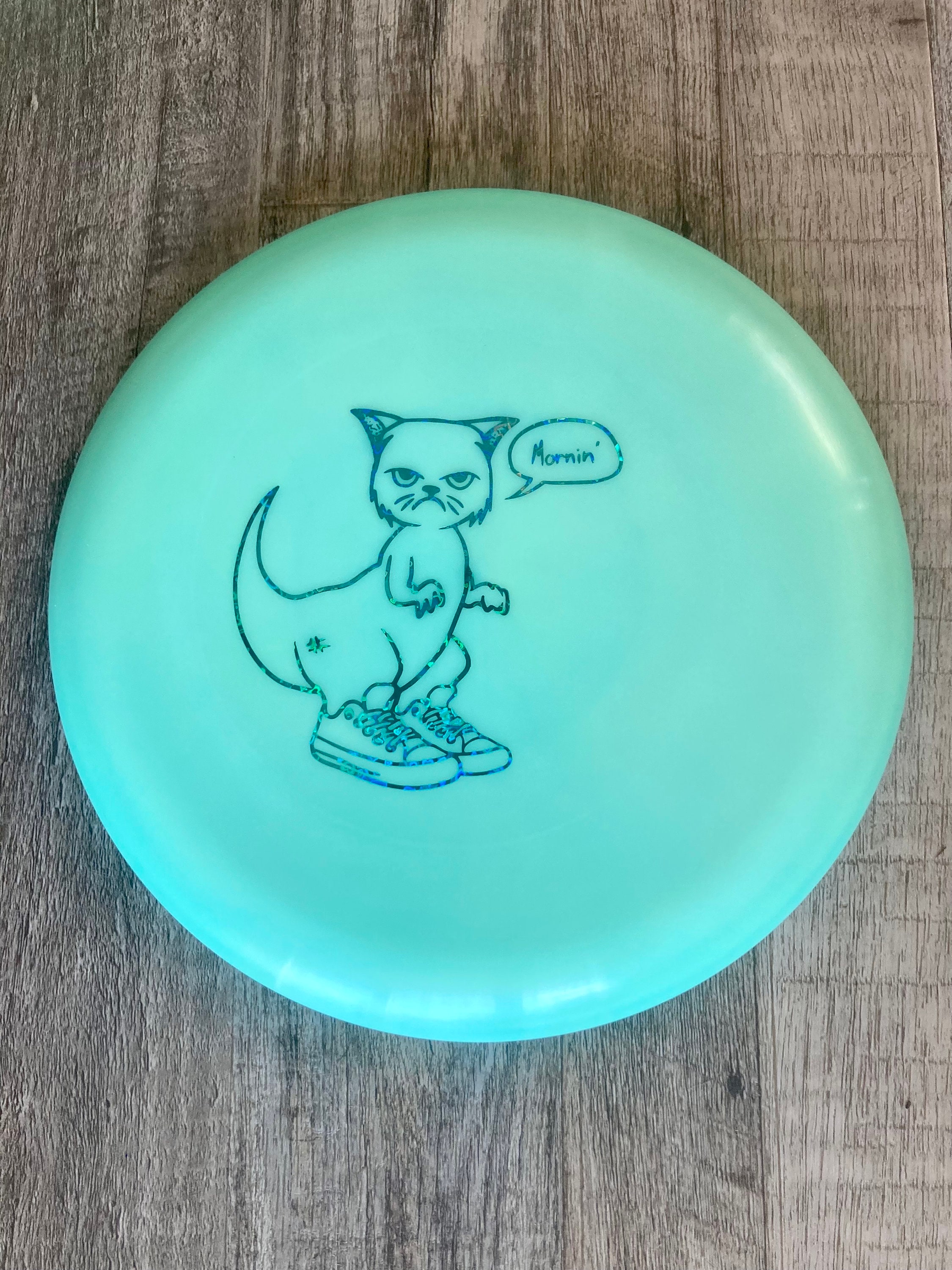 Disc Golf Glow Putter 173-176g - Etsy