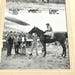 Original Lincoln Speedway Racetrack Photograph Gallant Eye Dated 1961 ...