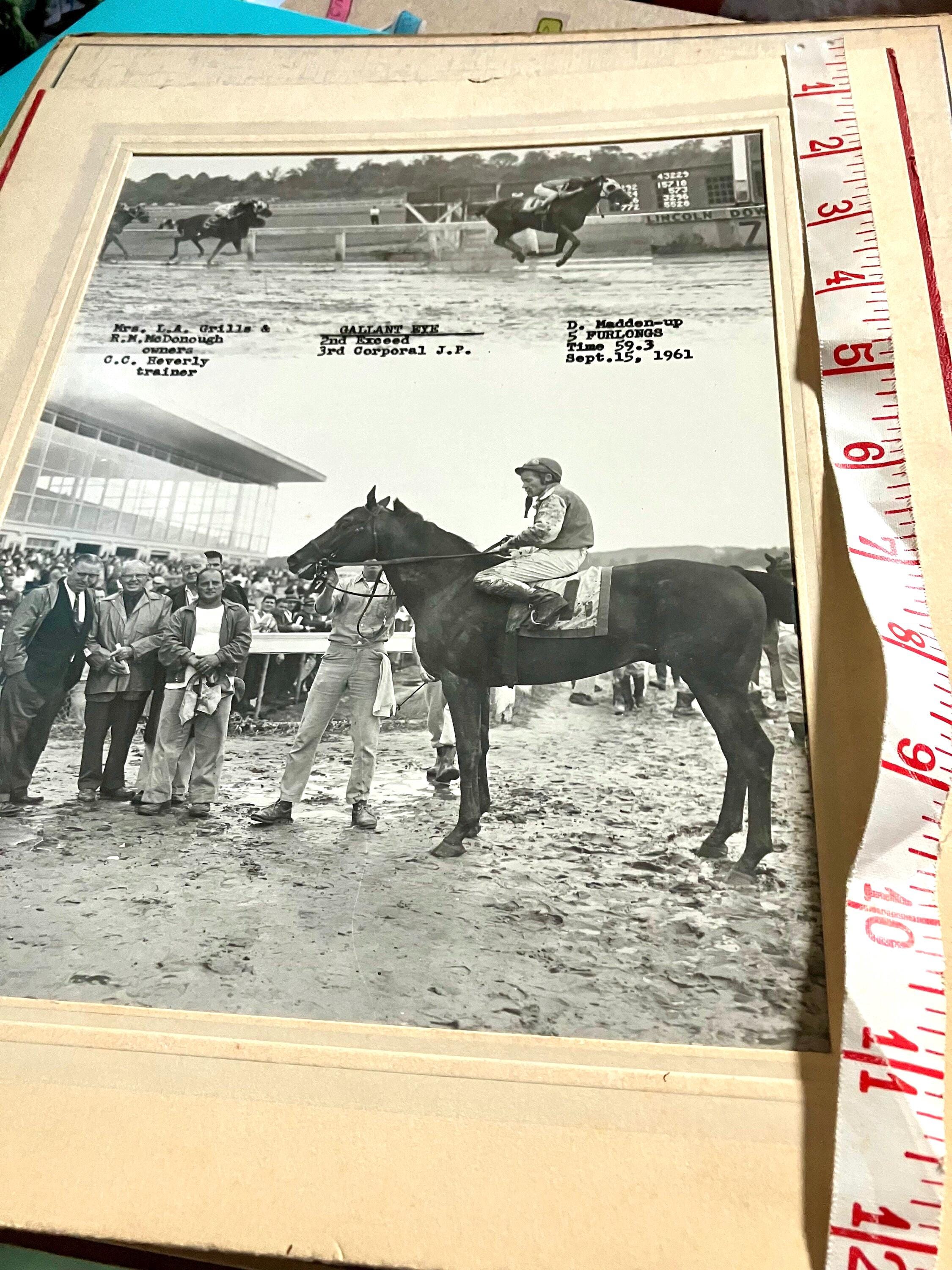 Original Lincoln Speedway Racetrack Photograph Gallant Eye Dated 1961 ...