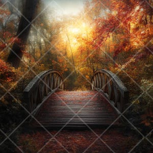 Autumn Forest Bridge Digital Backdrop: Fantasy Photoshoot (JPEG) - Etsy