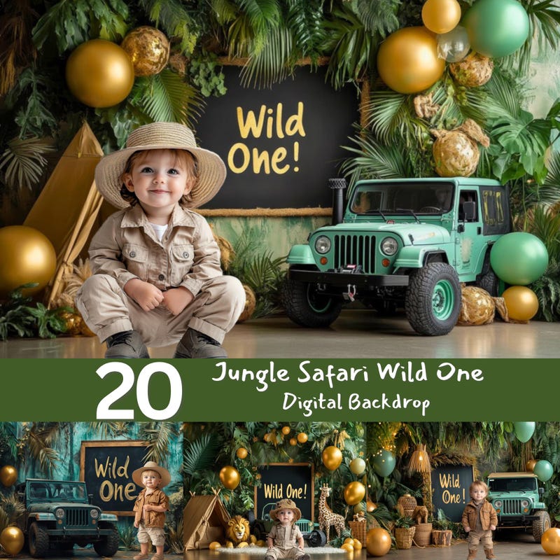 Wild One Backdrop - Etsy