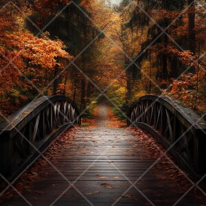 Autumn Forest Bridge Digital Backdrop: Fantasy Photoshoot (JPEG) - Etsy