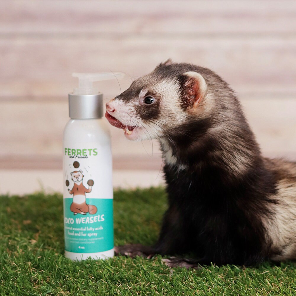 Coco Weasels Coconut Oil Supplement for Ferrets - Etsy