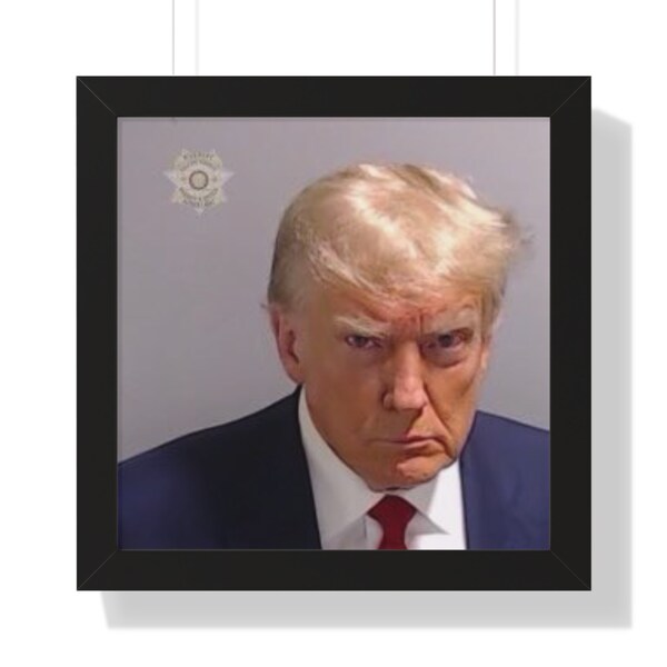 Donald Trump Mugshot Poster - Etsy