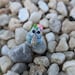 Mystery Rock Pet, Polymer Clay Little Rock Pebble Friend - Etsy