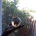 Vintage Retro Massive Heavy Glass Paperweight, Glass Ball - Etsy