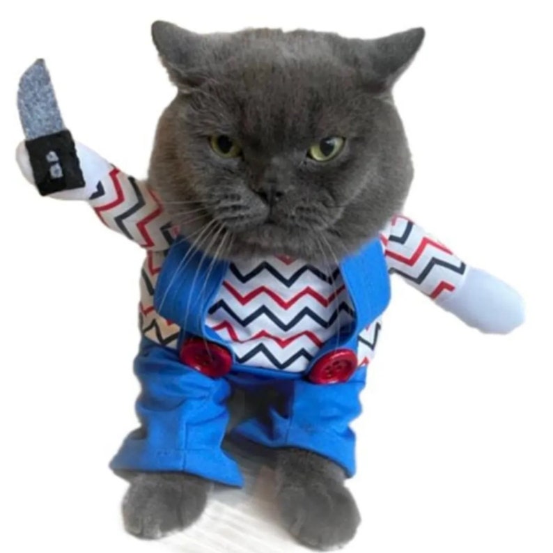 Chucky Cat and Dog Costume for Halloween Fun Spooky yet Cute Costume ...