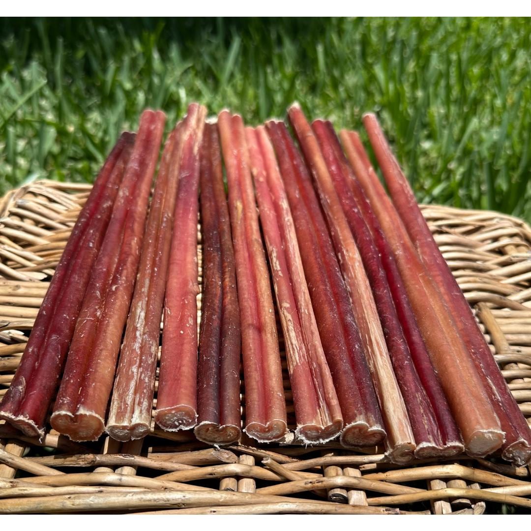 12 Inch Bully Stick for Dogs by Stacey's Best (12 Pcs - 24 Pcs) - Etsy