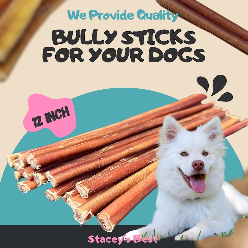 12 Inch Bully Stick for Dogs by Stacey's Best (12 Pcs - 24 Pcs) - Etsy