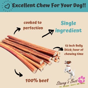 12 Inch Bully Stick for Dogs by Stacey's Best (12 Pcs - 24 Pcs) - Etsy