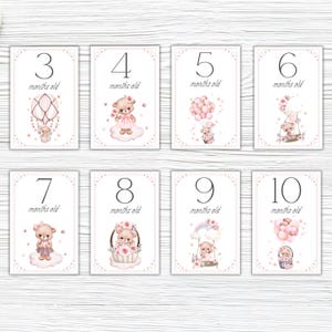 Baby Girl Milestone Card Baby Month Cards Monthly Milestone Cards New ...